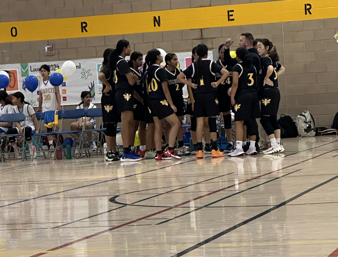 Gallery — Horner Middle School