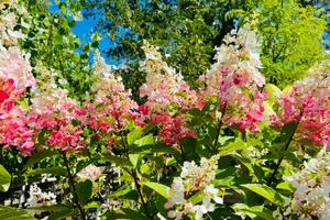 Copper Creek Garden Center and Market