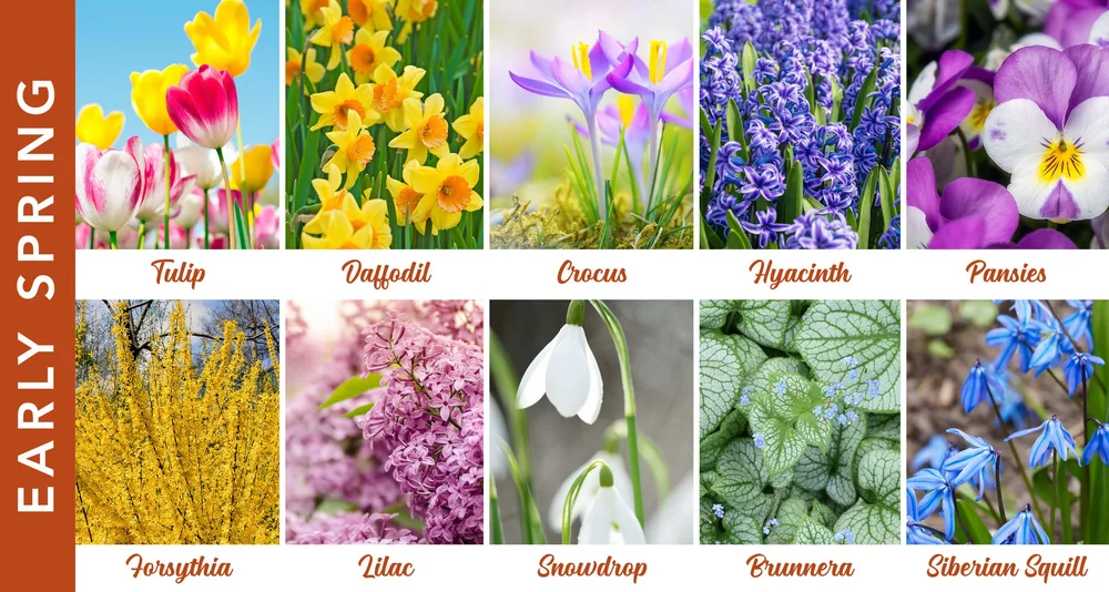 Copper Creek Garden Center and Market