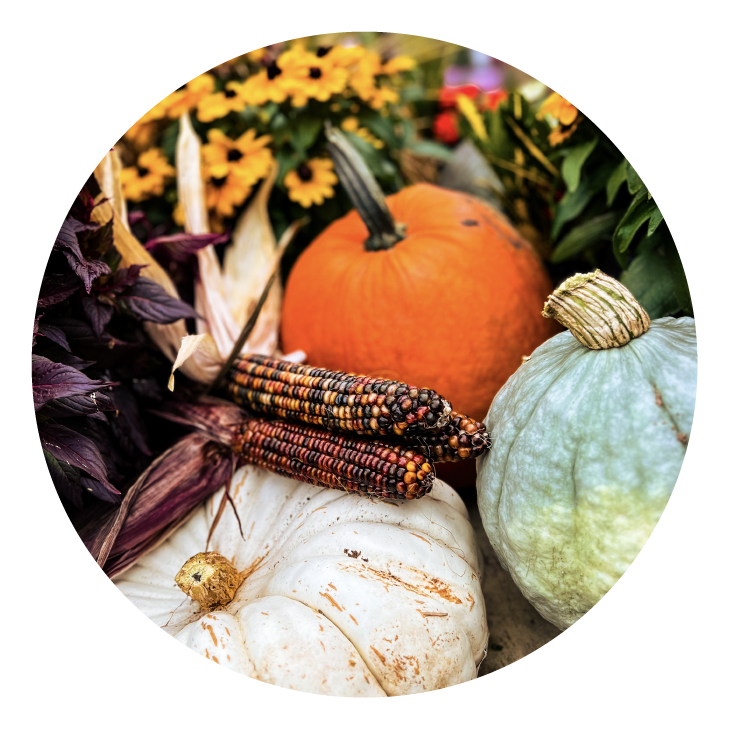 Copper Creek Garden Center and Market