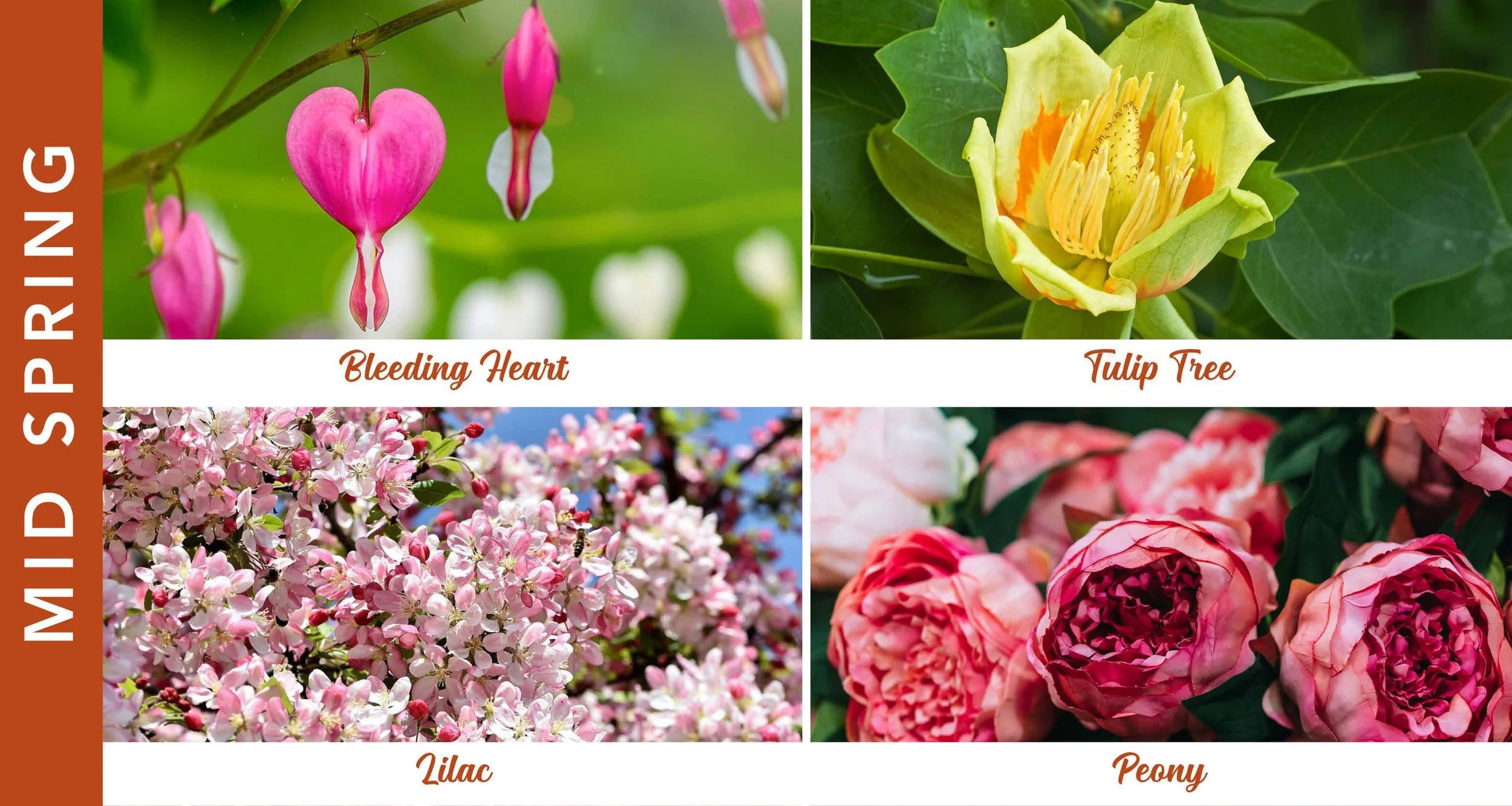 Copper Creek Garden Center and Market