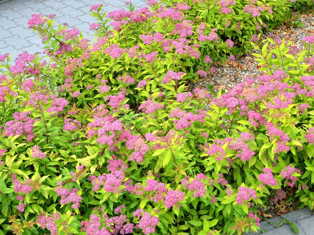 Copper Creek Garden Center and Market