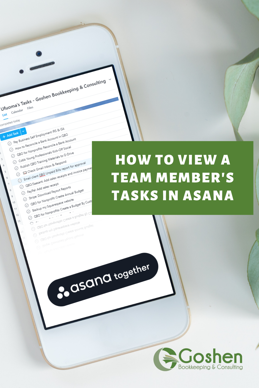 How to View a Team Member's Tasks in Asana