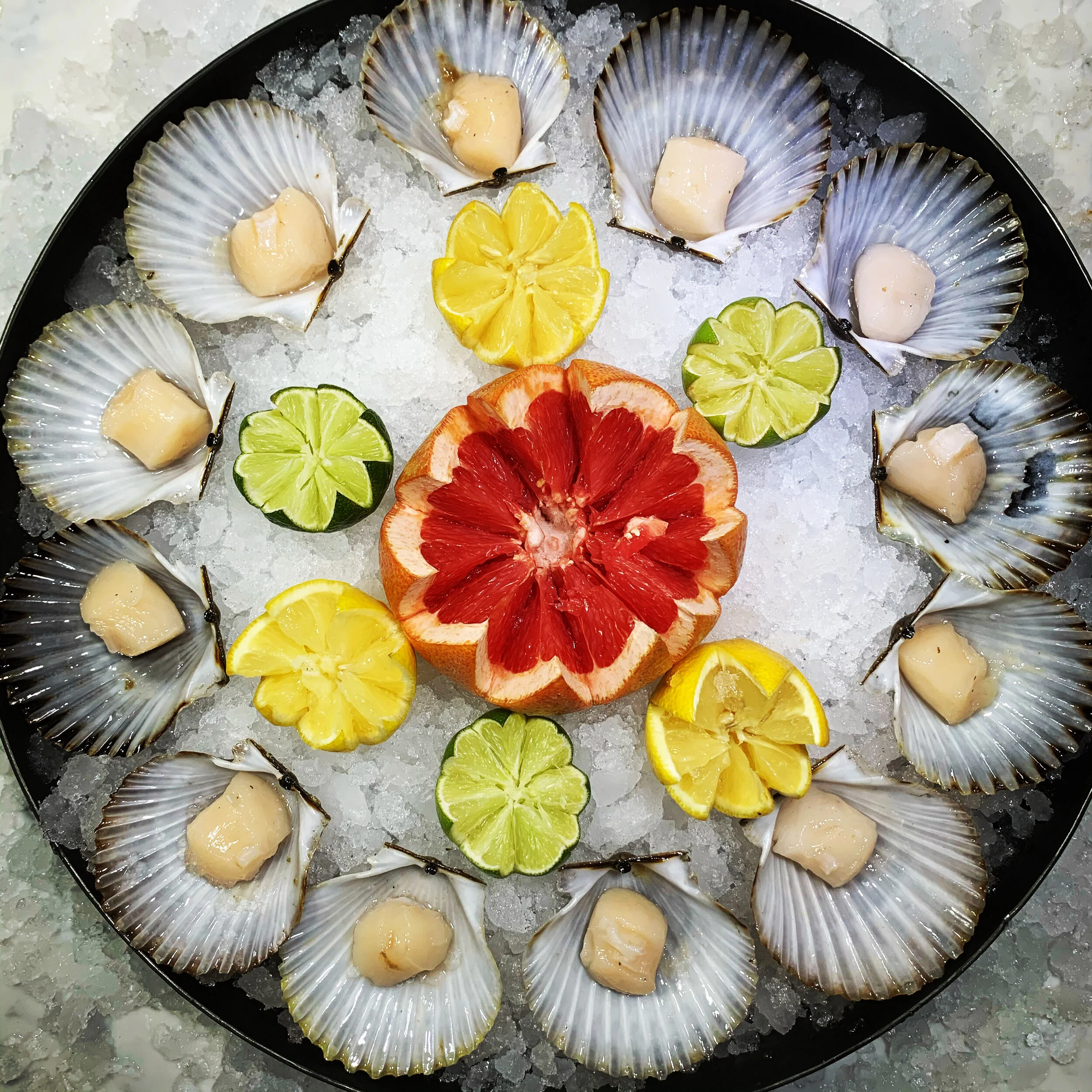 RAW LAB™ HOME — EMPIRE OYSTER