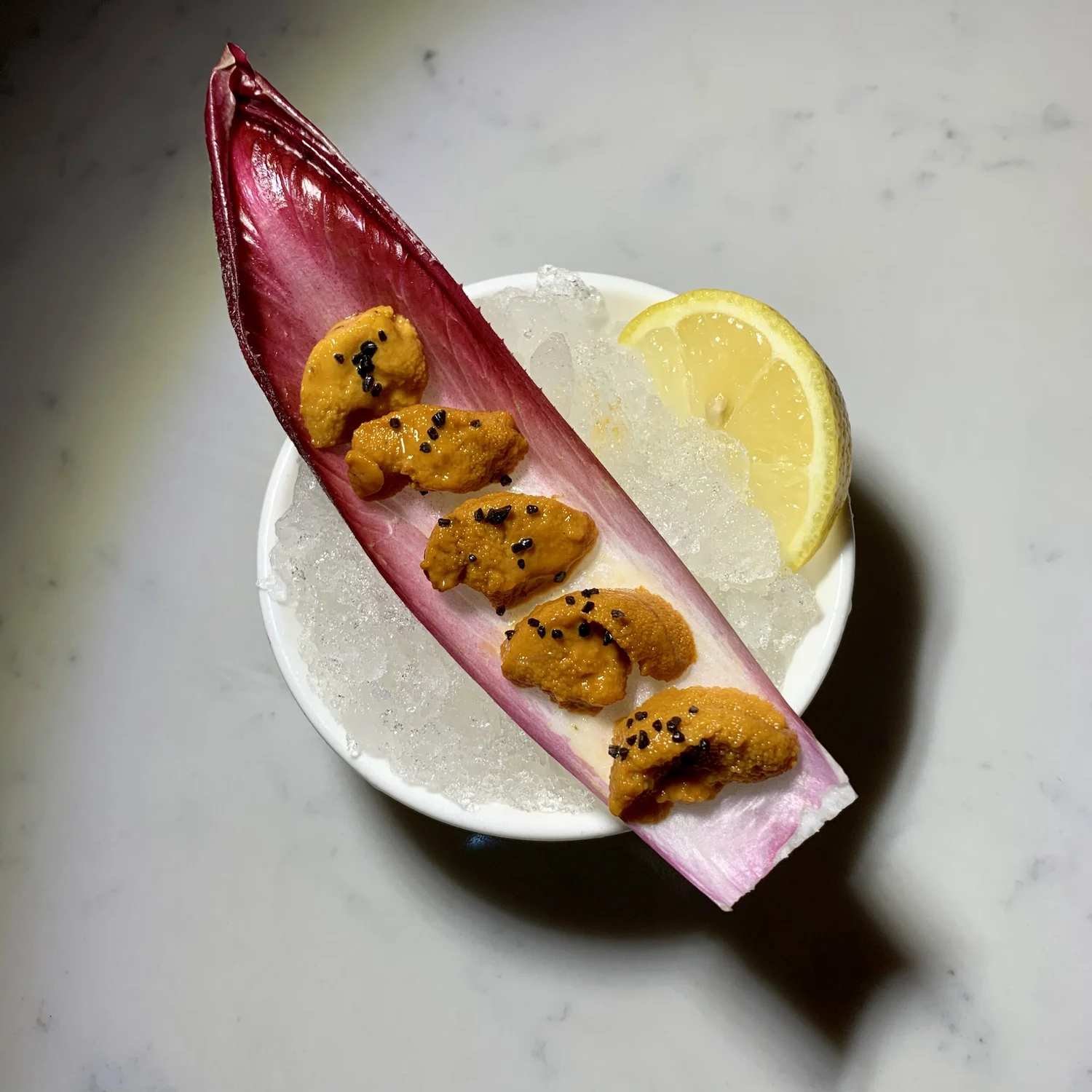 RAW LAB™ HOME — EMPIRE OYSTER