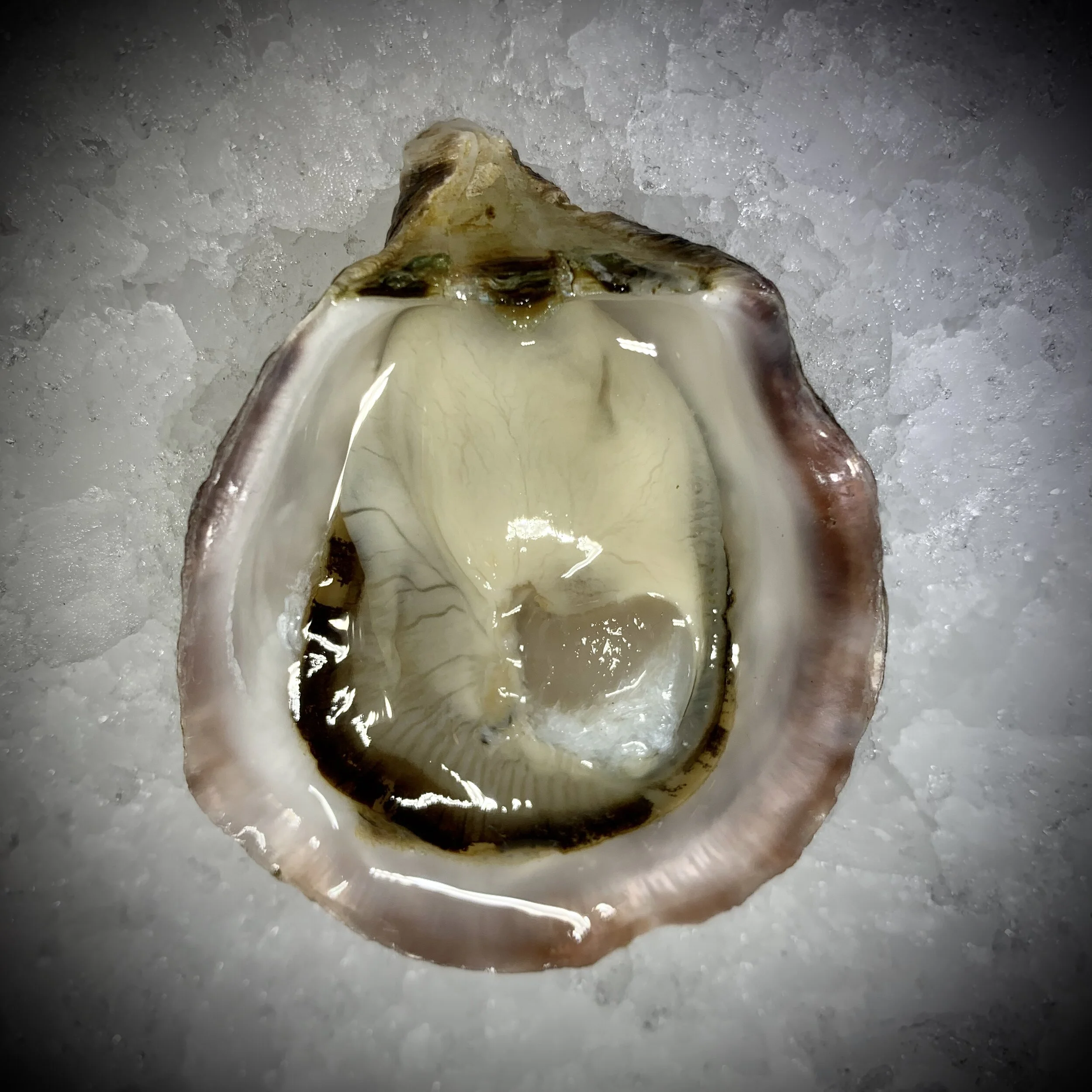 Raw Lab Overview — EMPIRE OYSTER