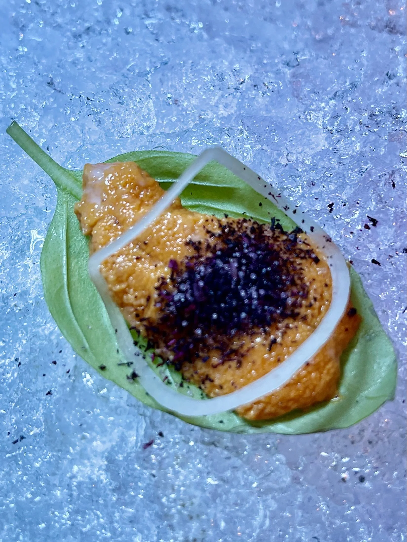 RAW LAB™ — EMPIRE OYSTER