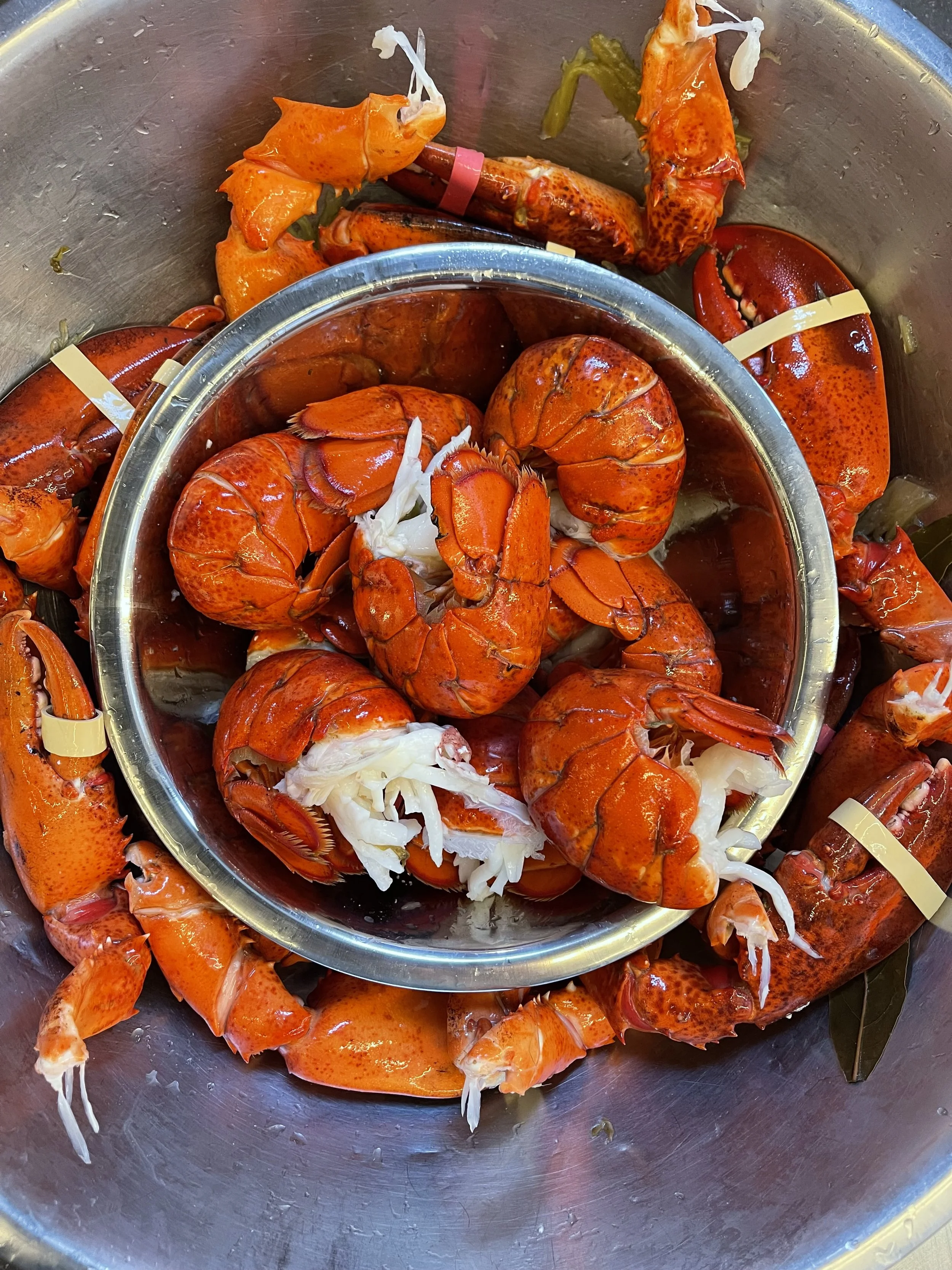 RAW LAB™ MAIN PAGE — EMPIRE OYSTER