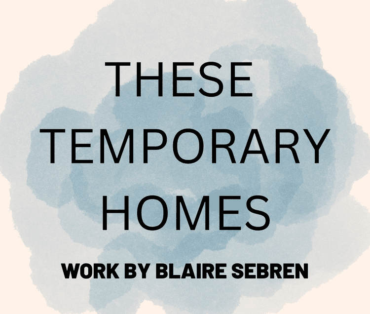 These Temporary Homes — Make.Shift Art Space