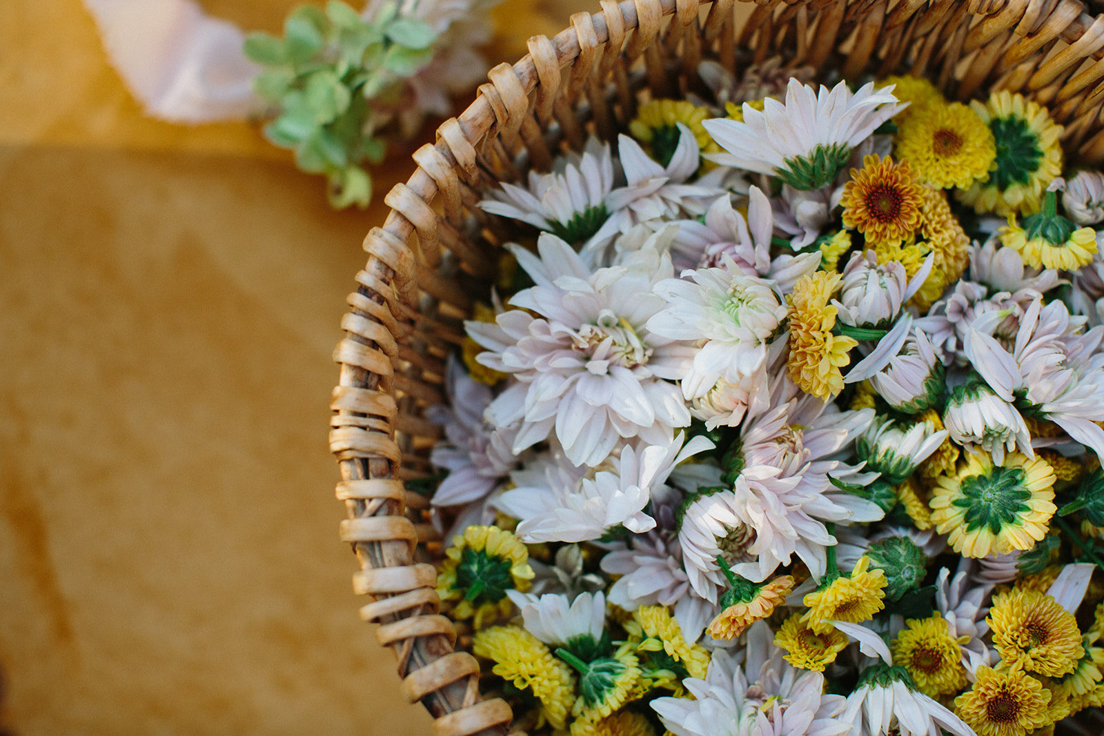 SAM + JOE — Siren Floral Co.