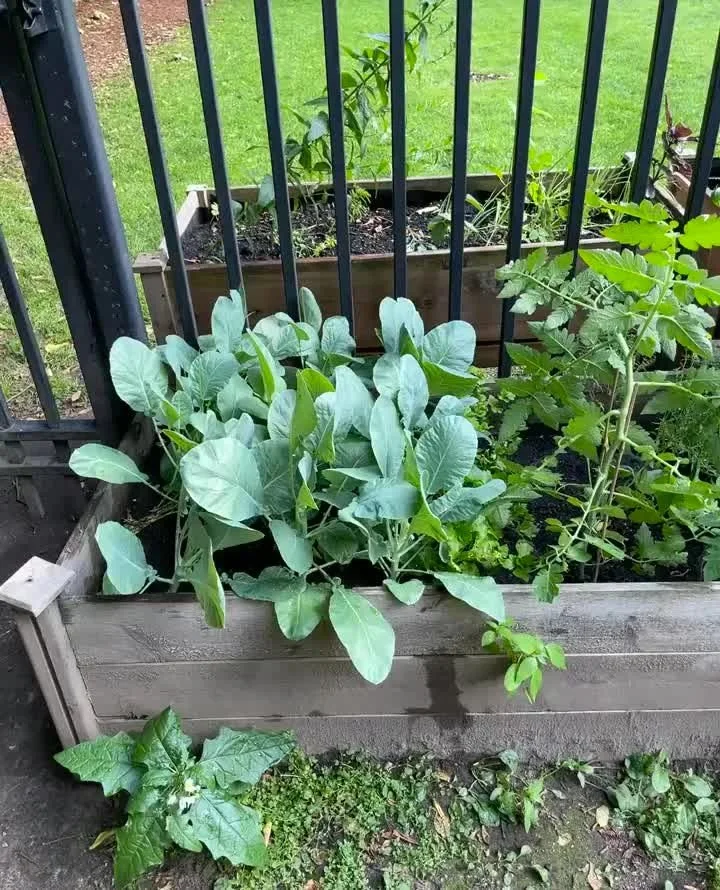 Asian Community Development Corporation