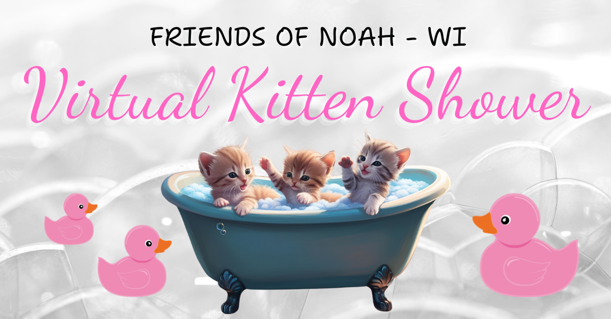 Virtual Kitten Shower — Friends of Noah