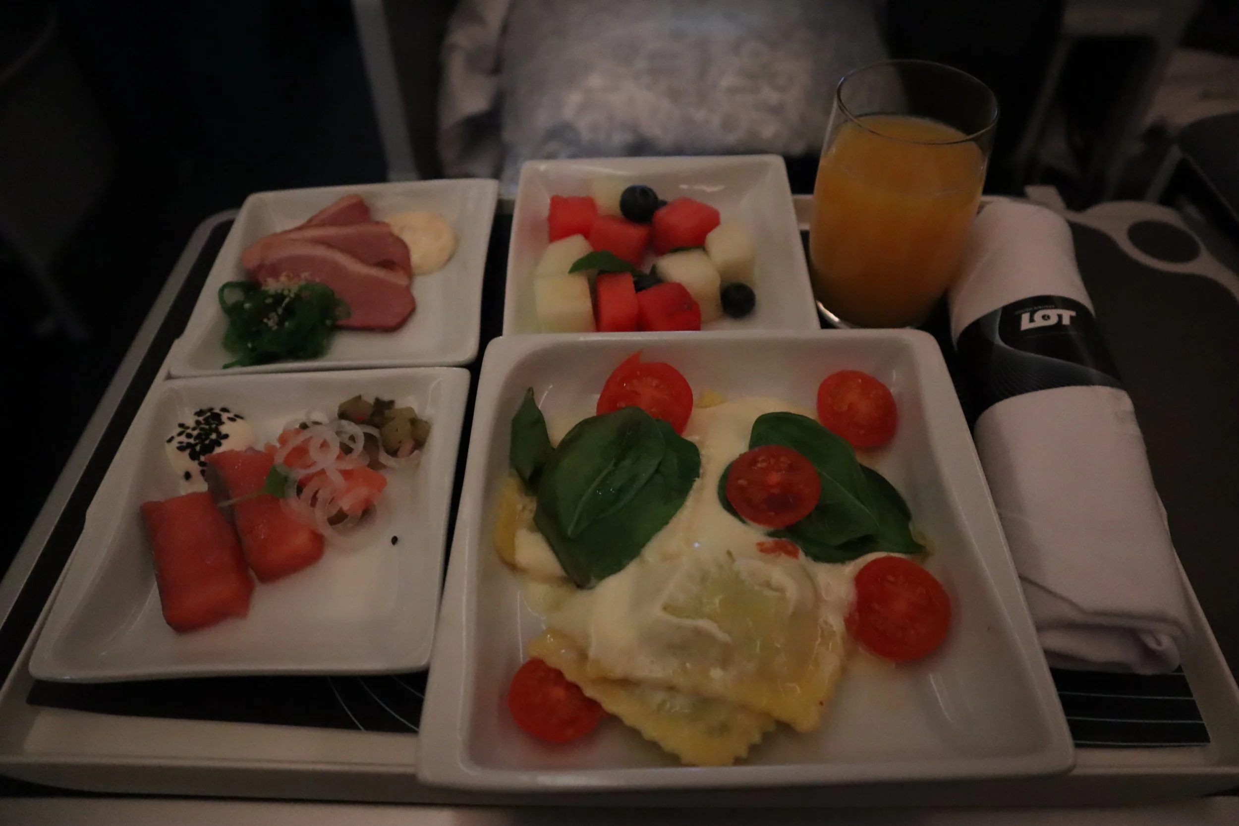 Review: LOT Polish Airlines Business Class Warsaw to Toronto | Prince ...