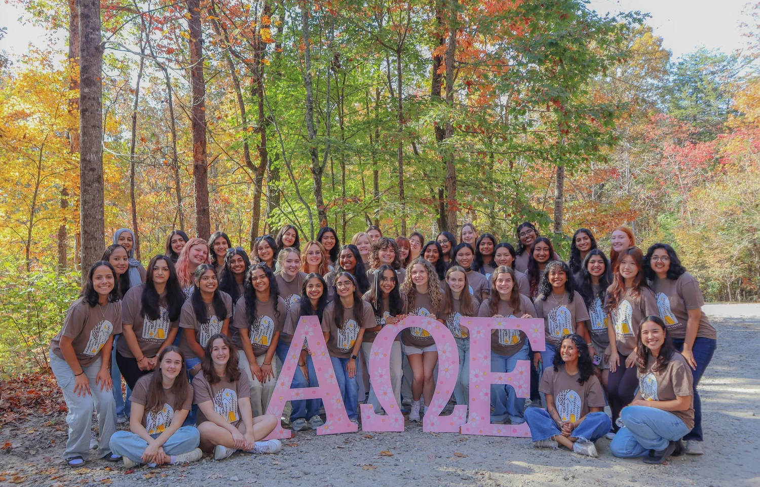 Alpha Omega Epsilon — GT Panhellenic