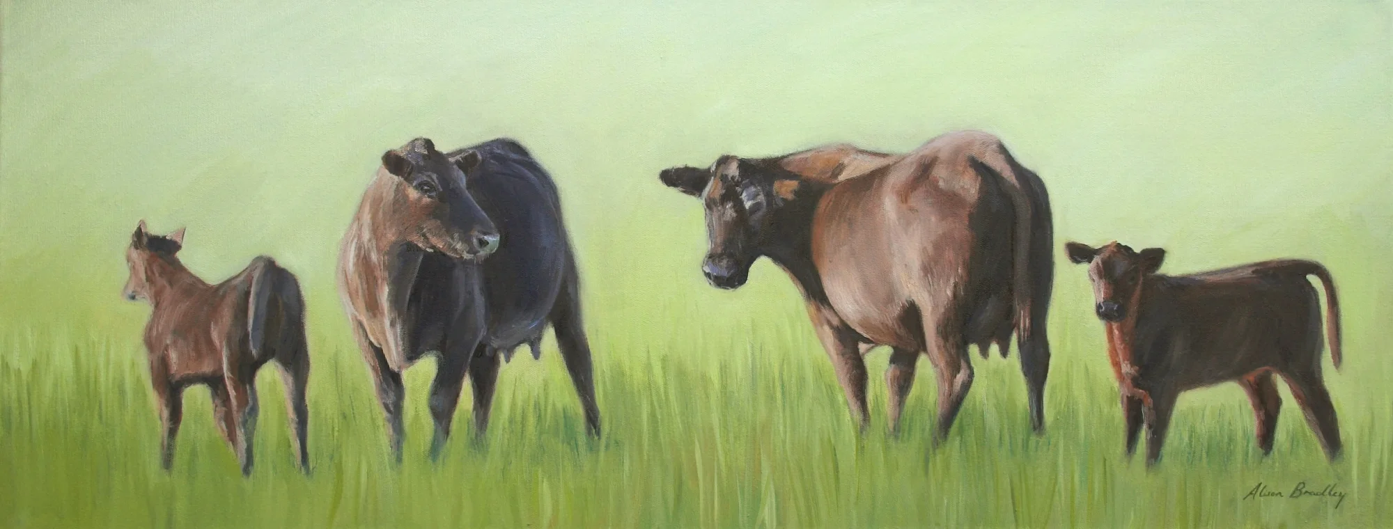 Aberdeen Angus — Alison Bradley Gallery