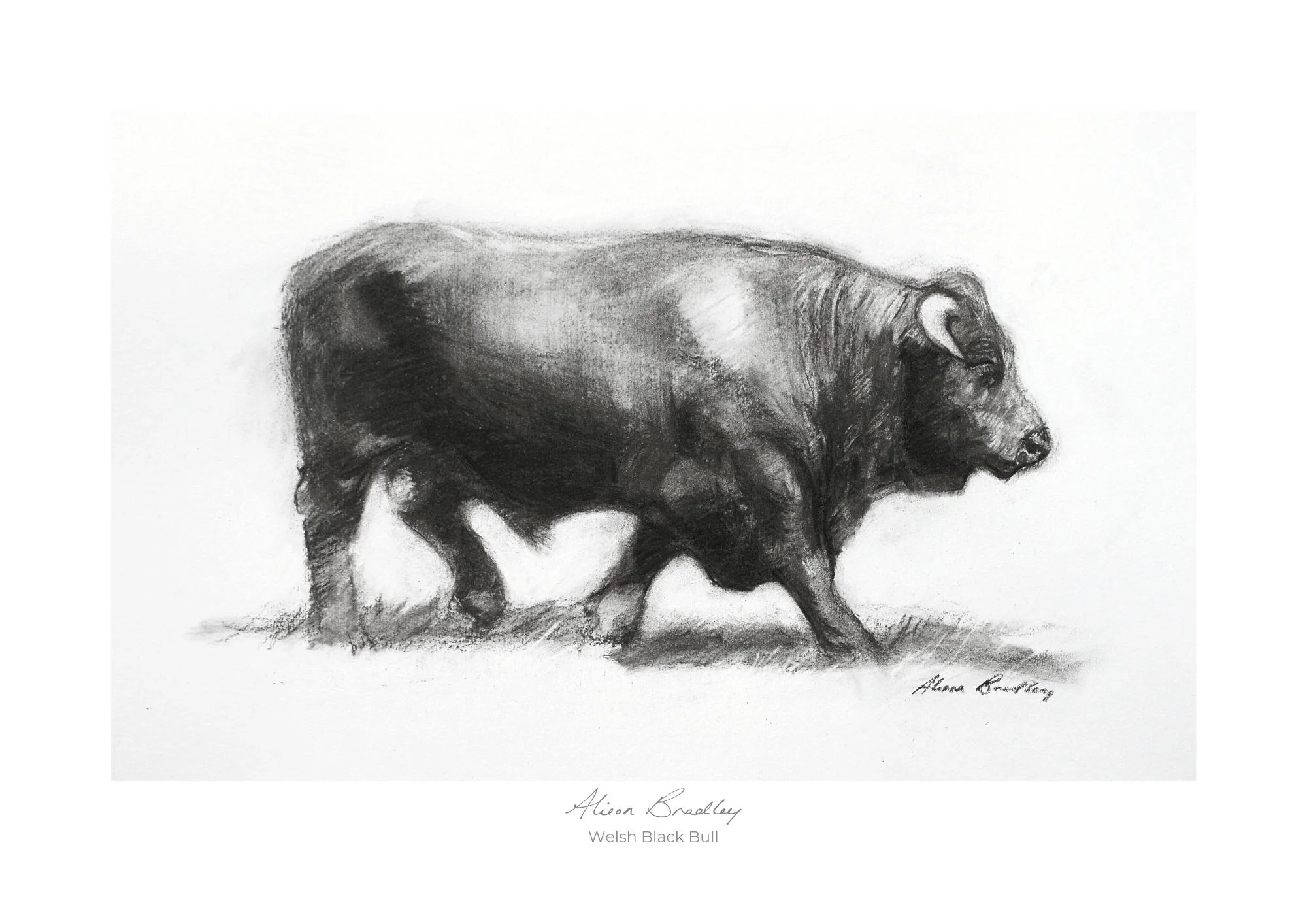 Small Prints — Alison Bradley Gallery