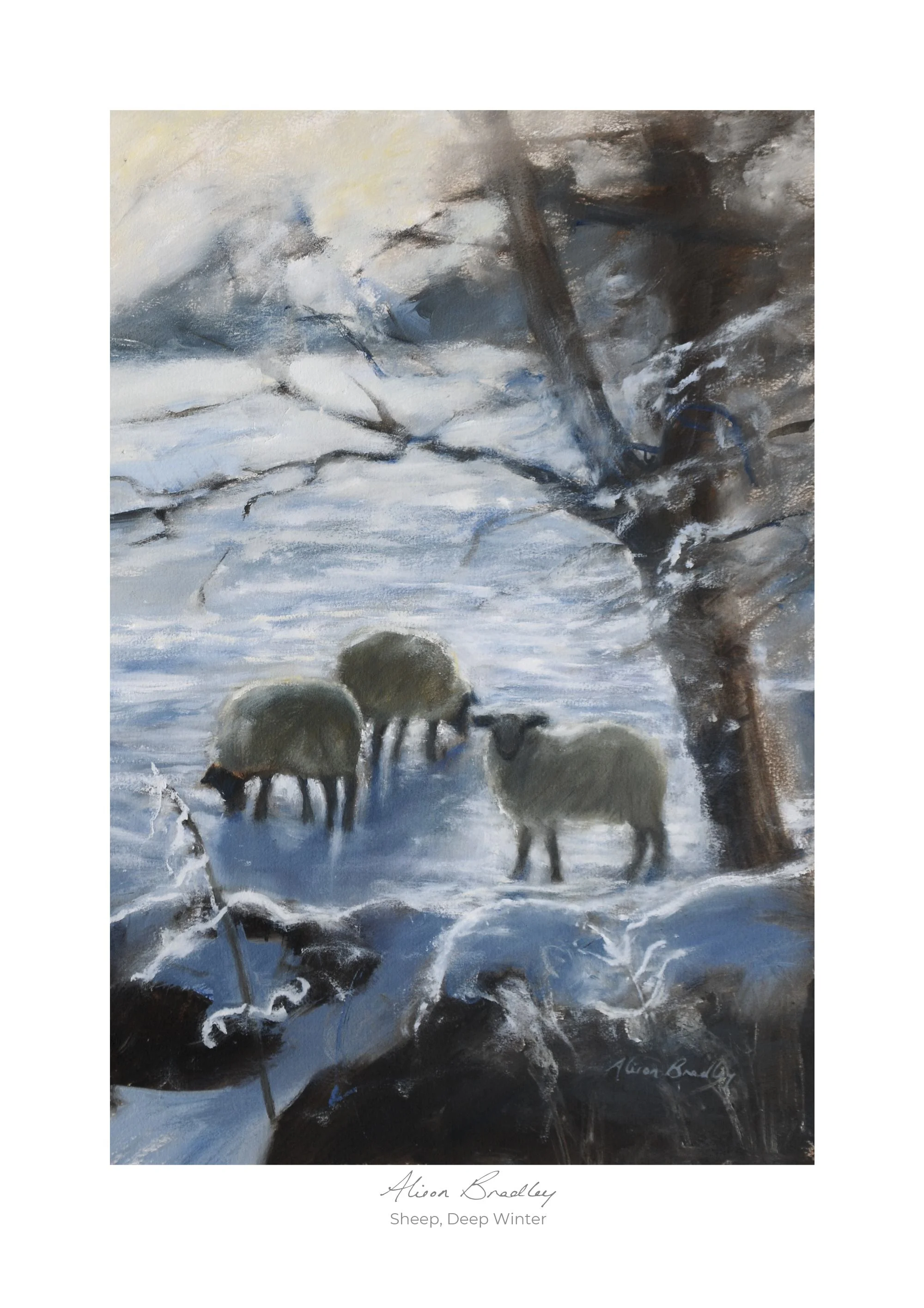 Small Prints — Alison Bradley Gallery