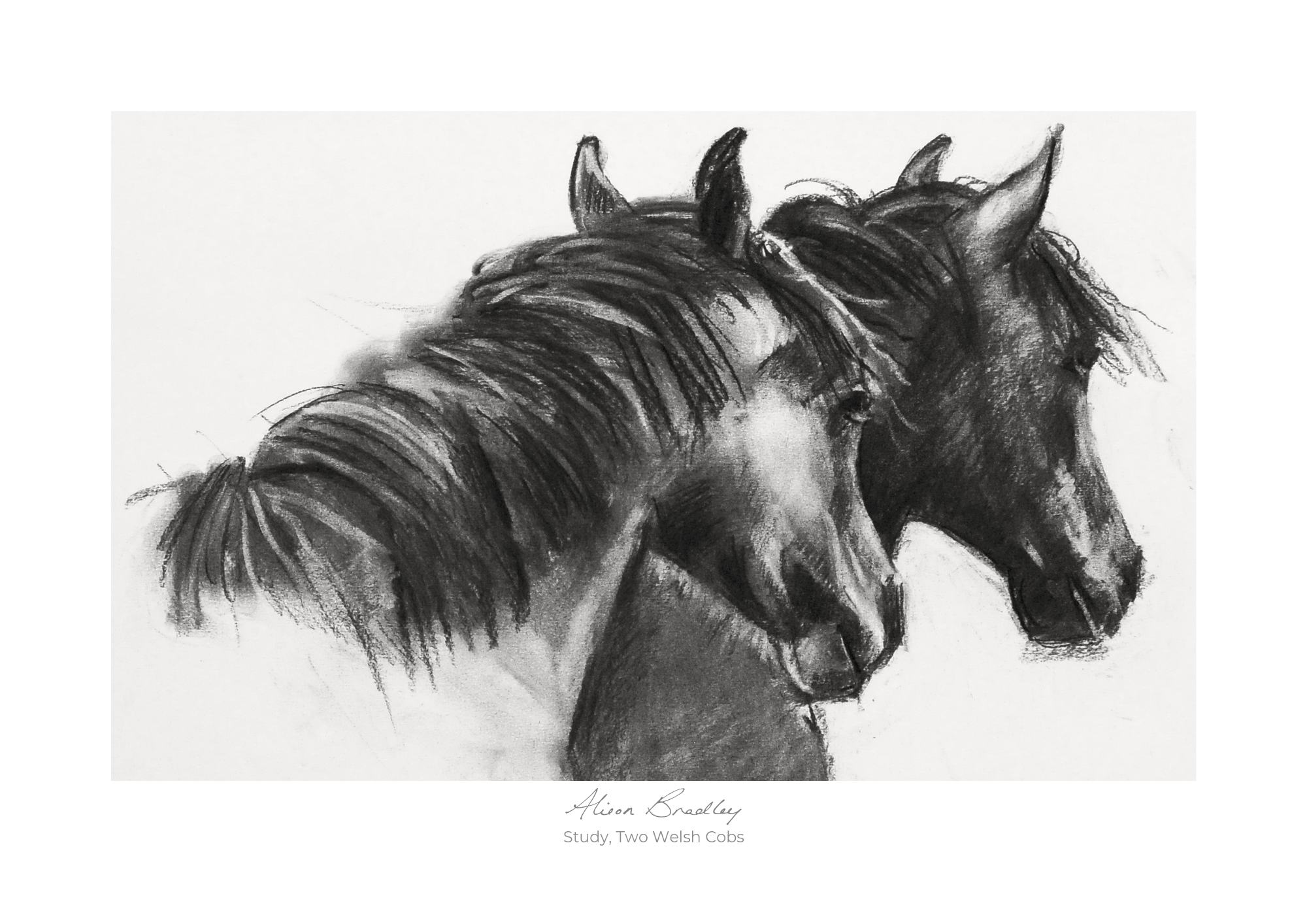 Small Prints — Alison Bradley Gallery