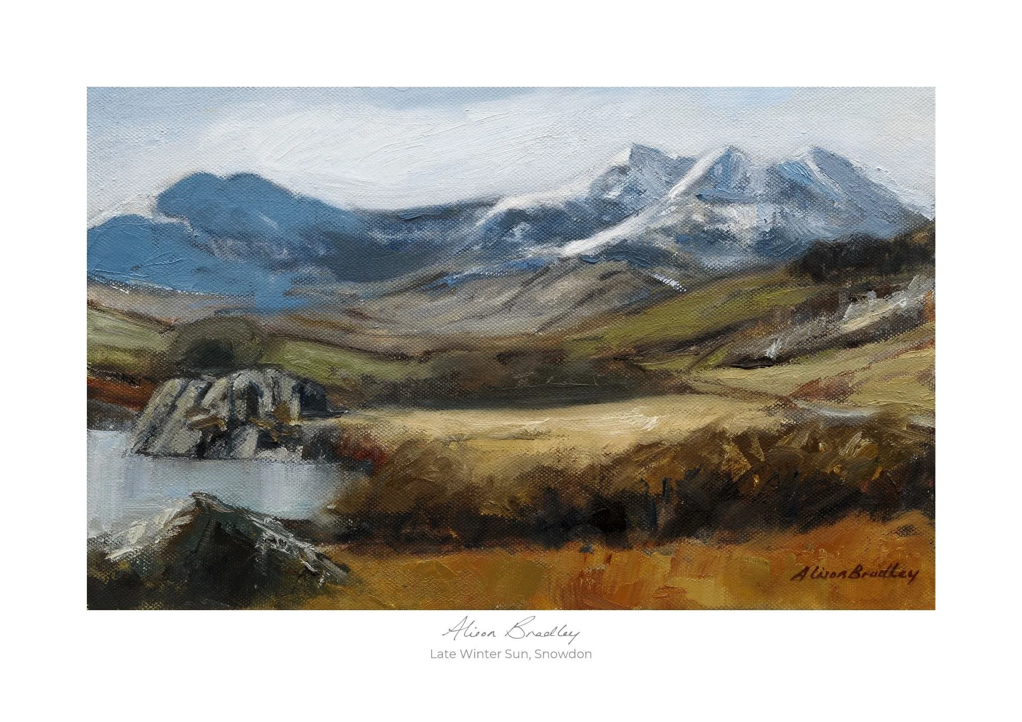 Small Prints — Alison Bradley Gallery