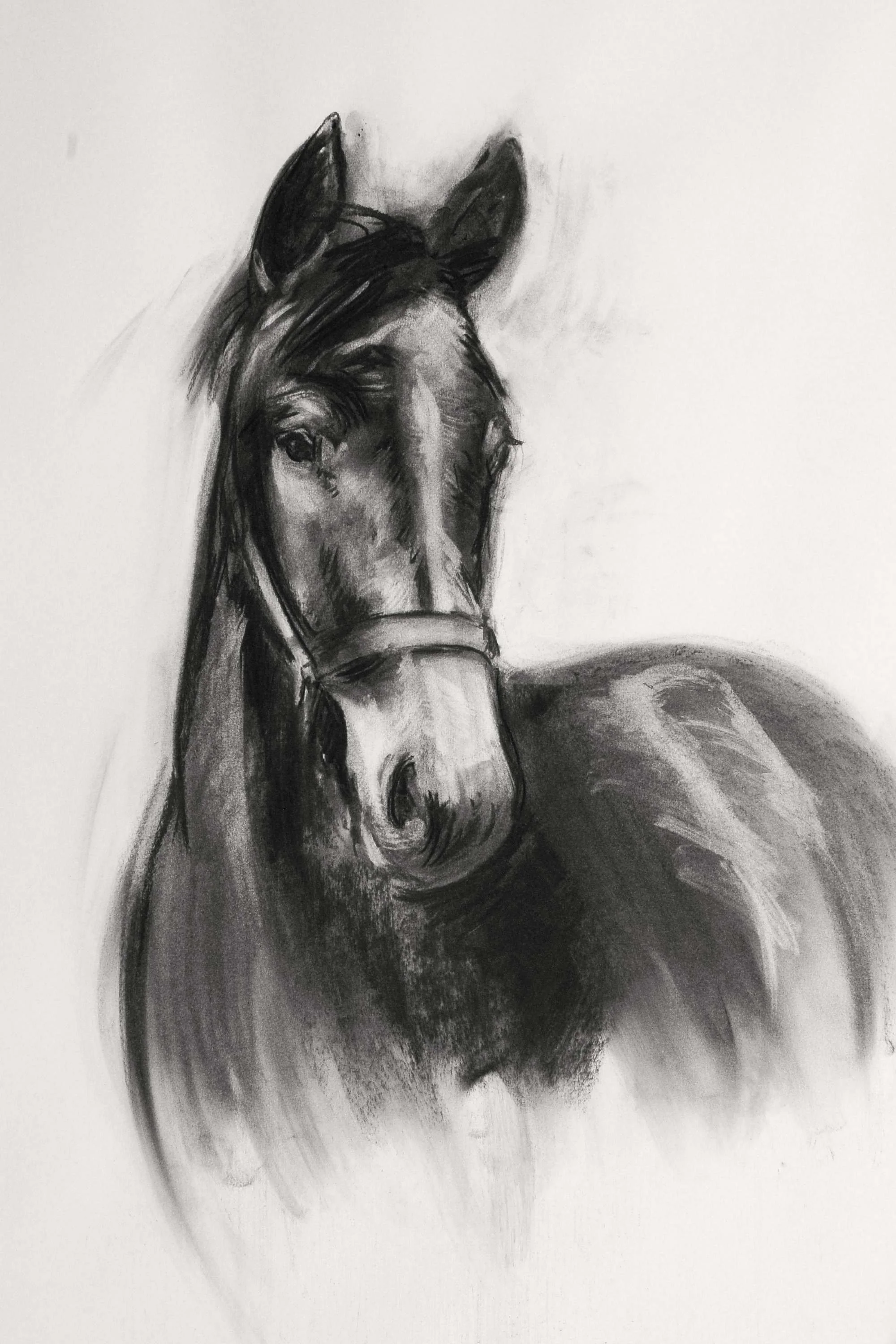 Backpack - Jack Head Study — Alison Bradley Gallery