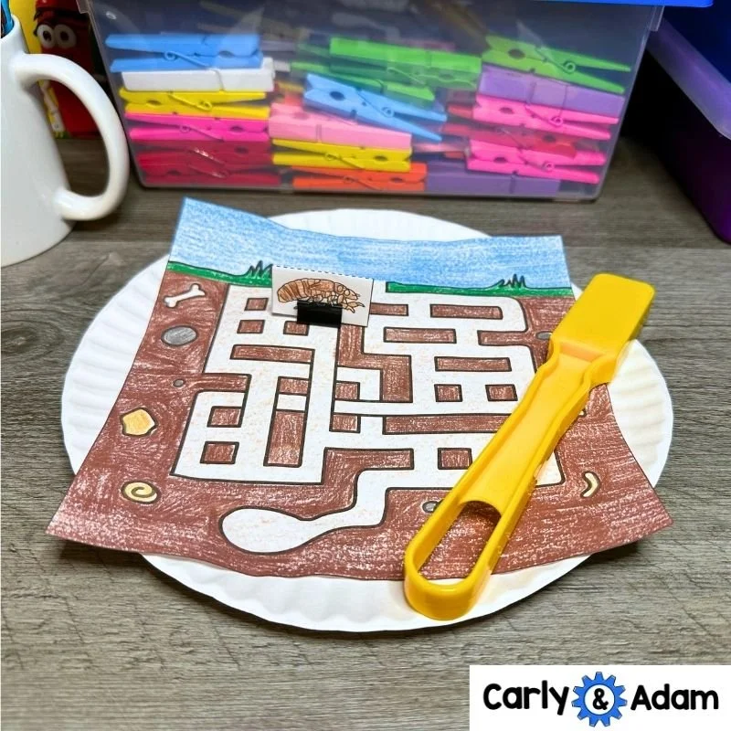 Cicada Activities for Kids — Carly and Adam