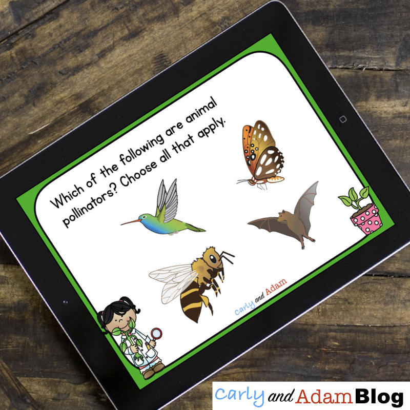 5 Reasons to Use Boom Cards™ in Your Classroom — Carly and Adam