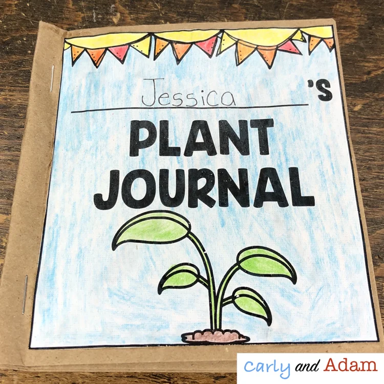 Growing Plants in the Classroom — Carly and Adam