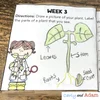 Growing Plants in the Classroom — Carly and Adam