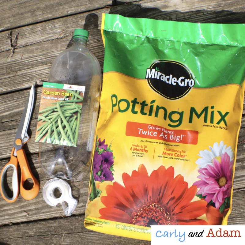 Growing a Self-sustaining Plant Ecosystem — Carly and Adam