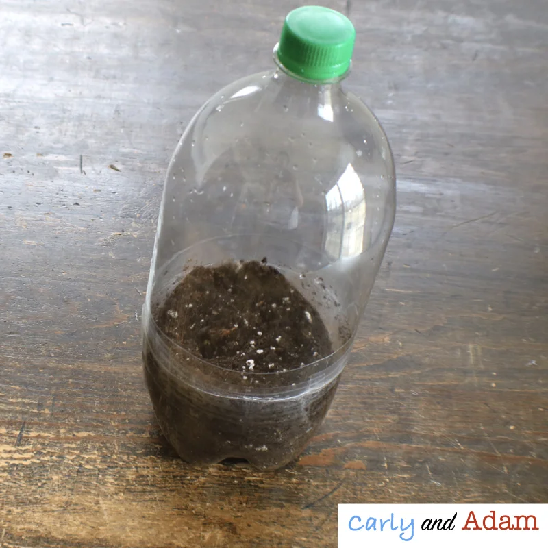 Growing a Self-sustaining Plant Ecosystem — Carly and Adam