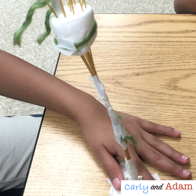 Building Teamwork at the Beginning of the Year with STEM — Carly and Adam