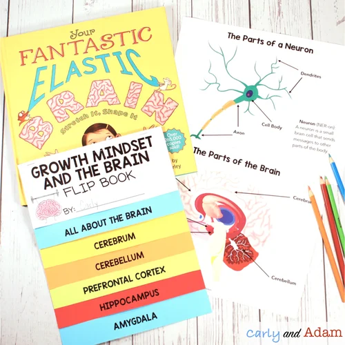 Introduce Growth Mindset to Your Class in 5 Easy Steps — Carly and Adam