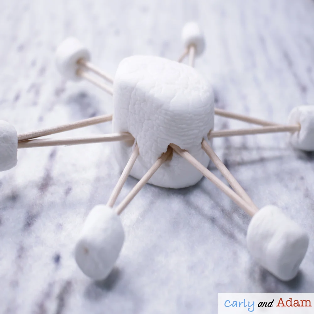 January STEM Read Alouds — Carly and Adam