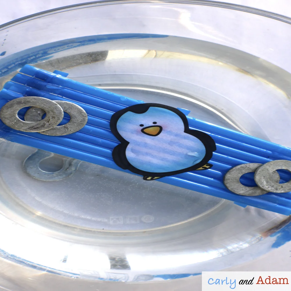 Engage Students in the New Year with STEM — Carly and Adam