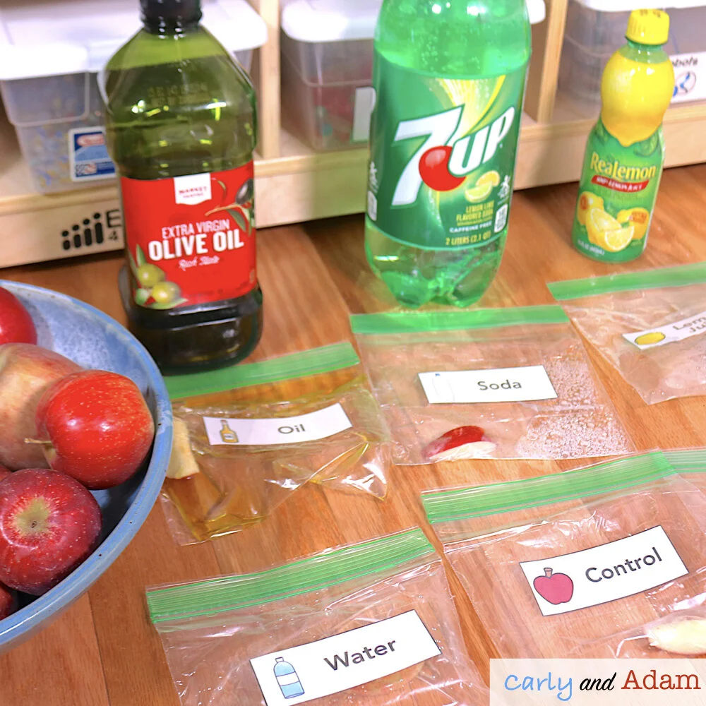 4 Elementary Apple Experiment and STEM Activities for Kids — Carly and Adam