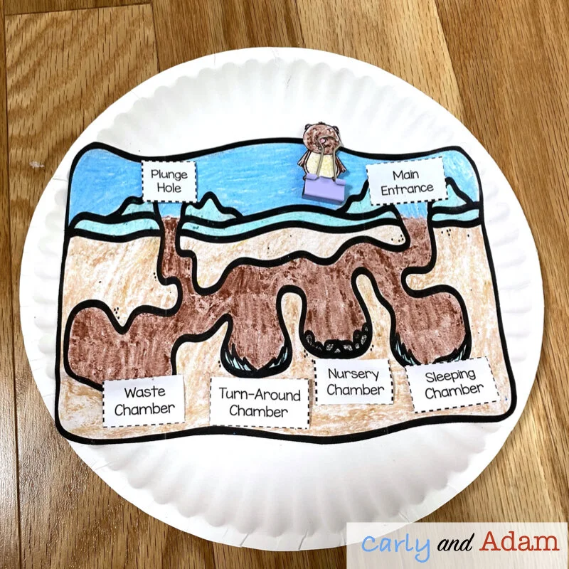 Groundhog Burrow READ ALOUD STEM Activity — Carly and Adam