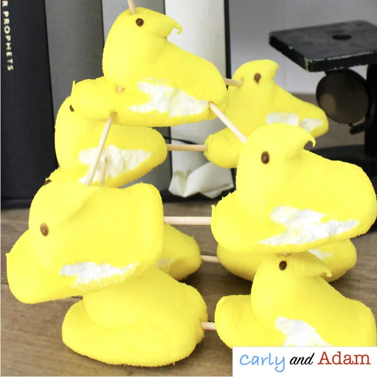 April STEM Activities — Carly and Adam