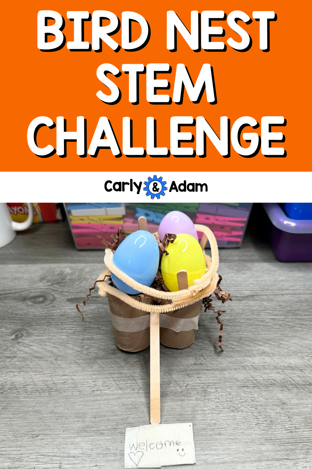 Carly and Adam STEM Teachers Blog — Carly and Adam