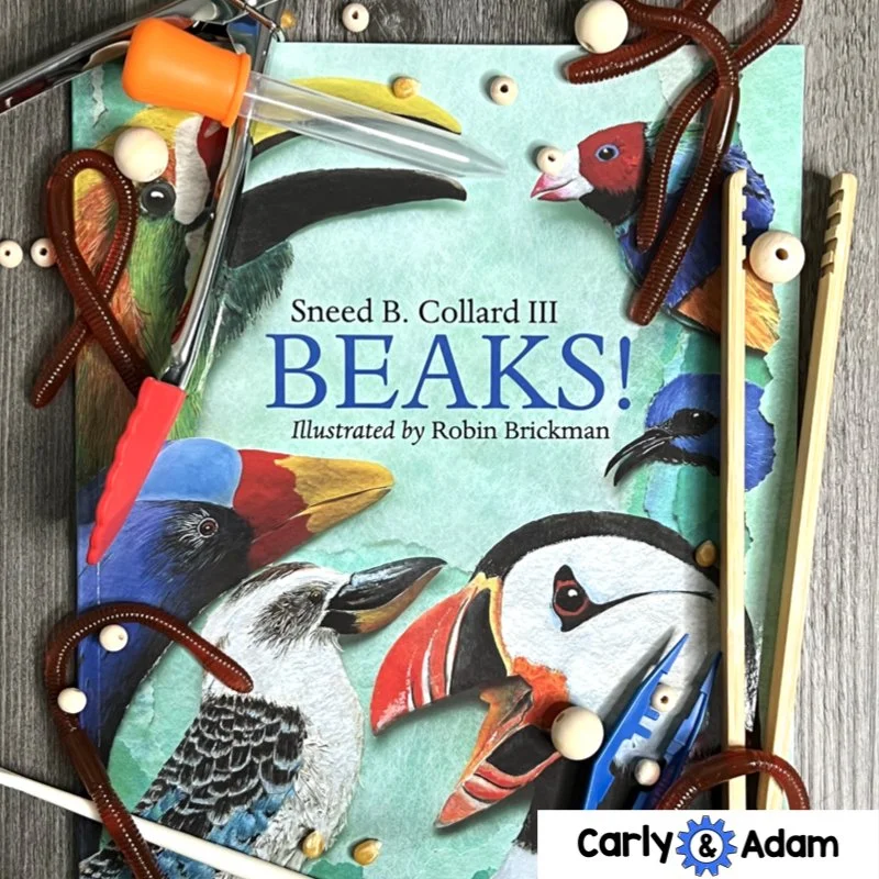 Bird Beak Investigation and STEM Challenge (Animal Adaptations) — Carly ...