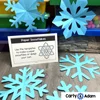 Snowflake Bentley STEM Centers — Carly and Adam