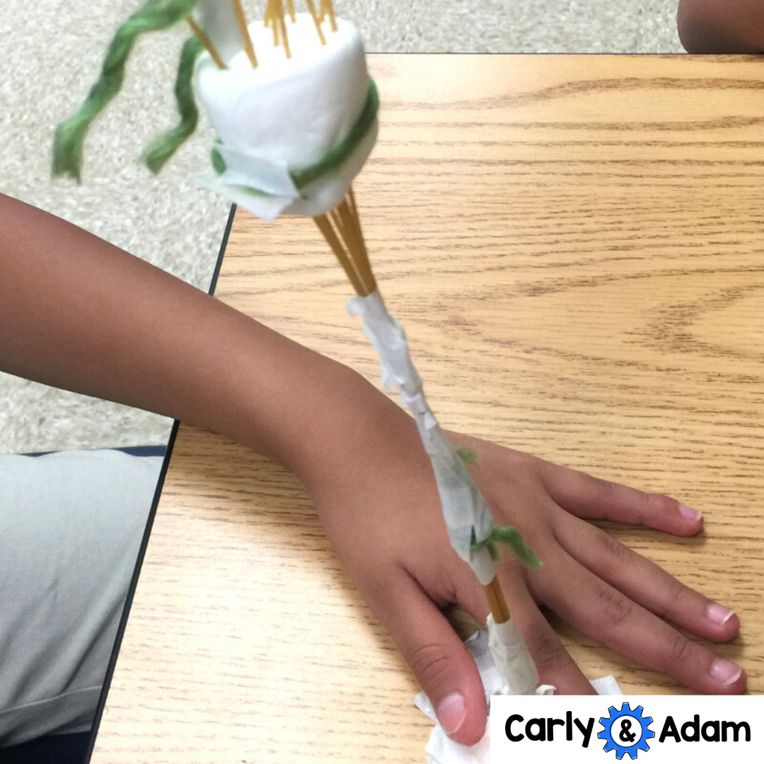 Building Teamwork at the Beginning of the Year with STEM — Carly and Adam