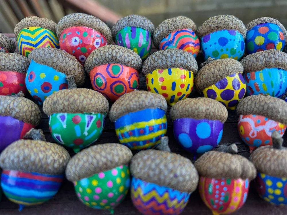 9 Ideas For Using Acorns in Your Classroom! — Carly and Adam