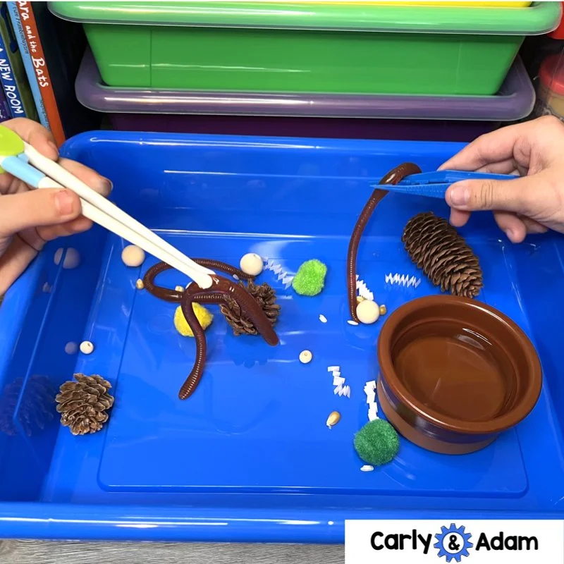 Bird Beak Investigation and STEM Challenge (Animal Adaptations) — Carly ...