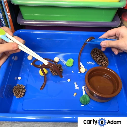 Bird Beak Investigation and STEM Challenge (Animal Adaptations) — Carly ...