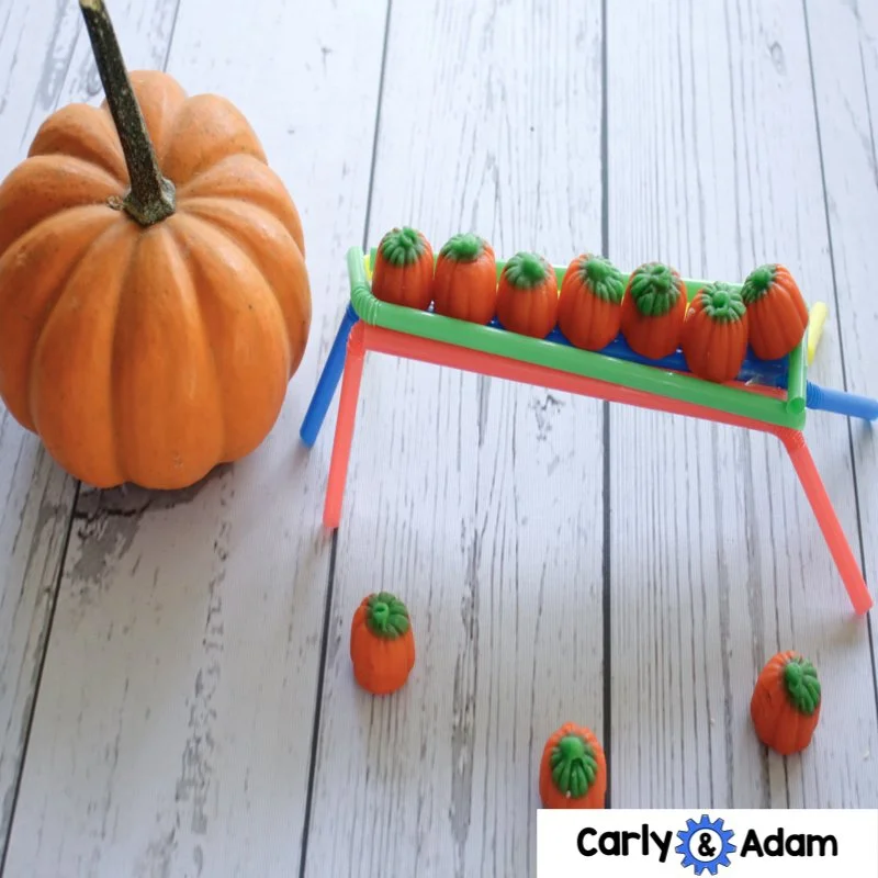 Room on the Broom STEM Challenge — Carly and Adam