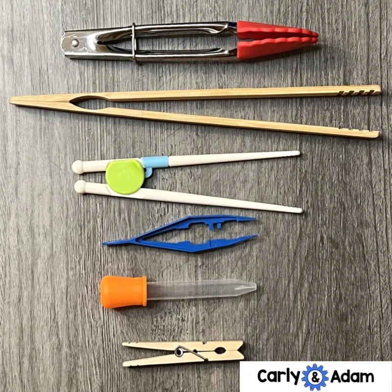 Bird Beak Investigation and STEM Challenge (Animal Adaptations) — Carly ...