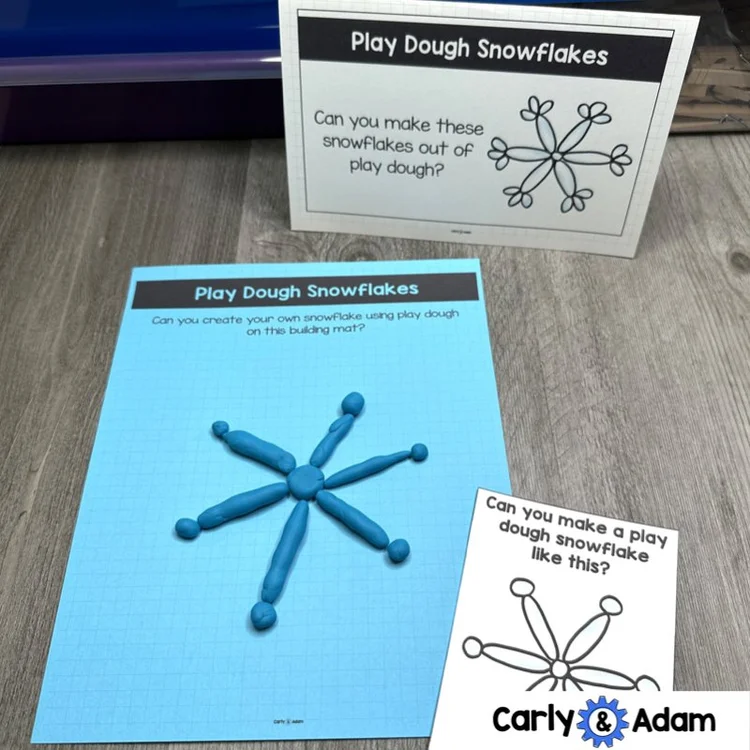 Snowflake Bentley STEM Centers — Carly and Adam