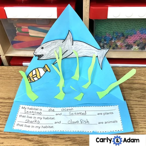 2nd Grade Life Science Activities — Carly and Adam