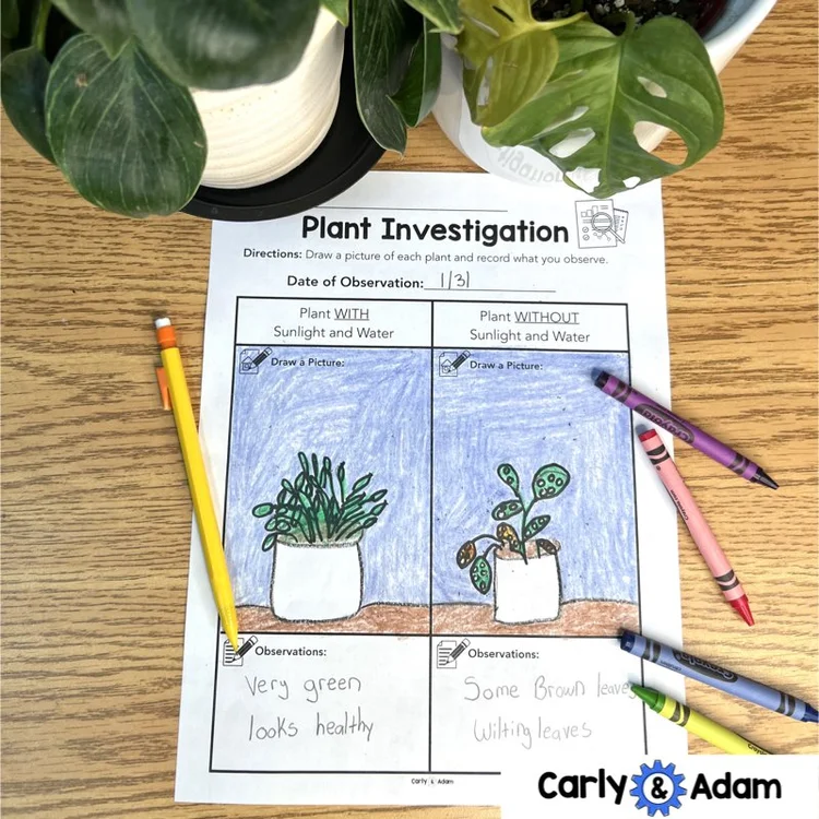 2nd Grade Life Science Activities — Carly and Adam