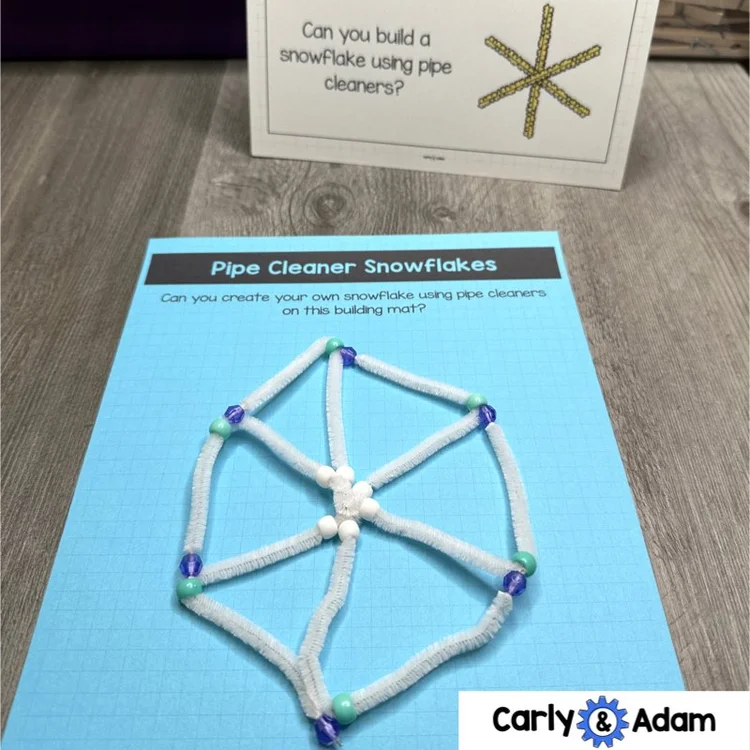 Snowflake Bentley STEM Centers — Carly and Adam